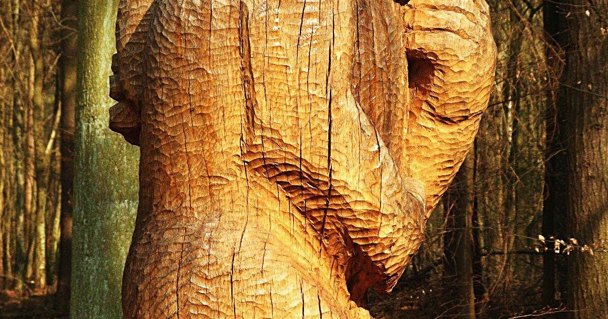 De Trol van Ad Wouters in Heverleebos. Wat wil hij zeggen? | De Wereld ...
